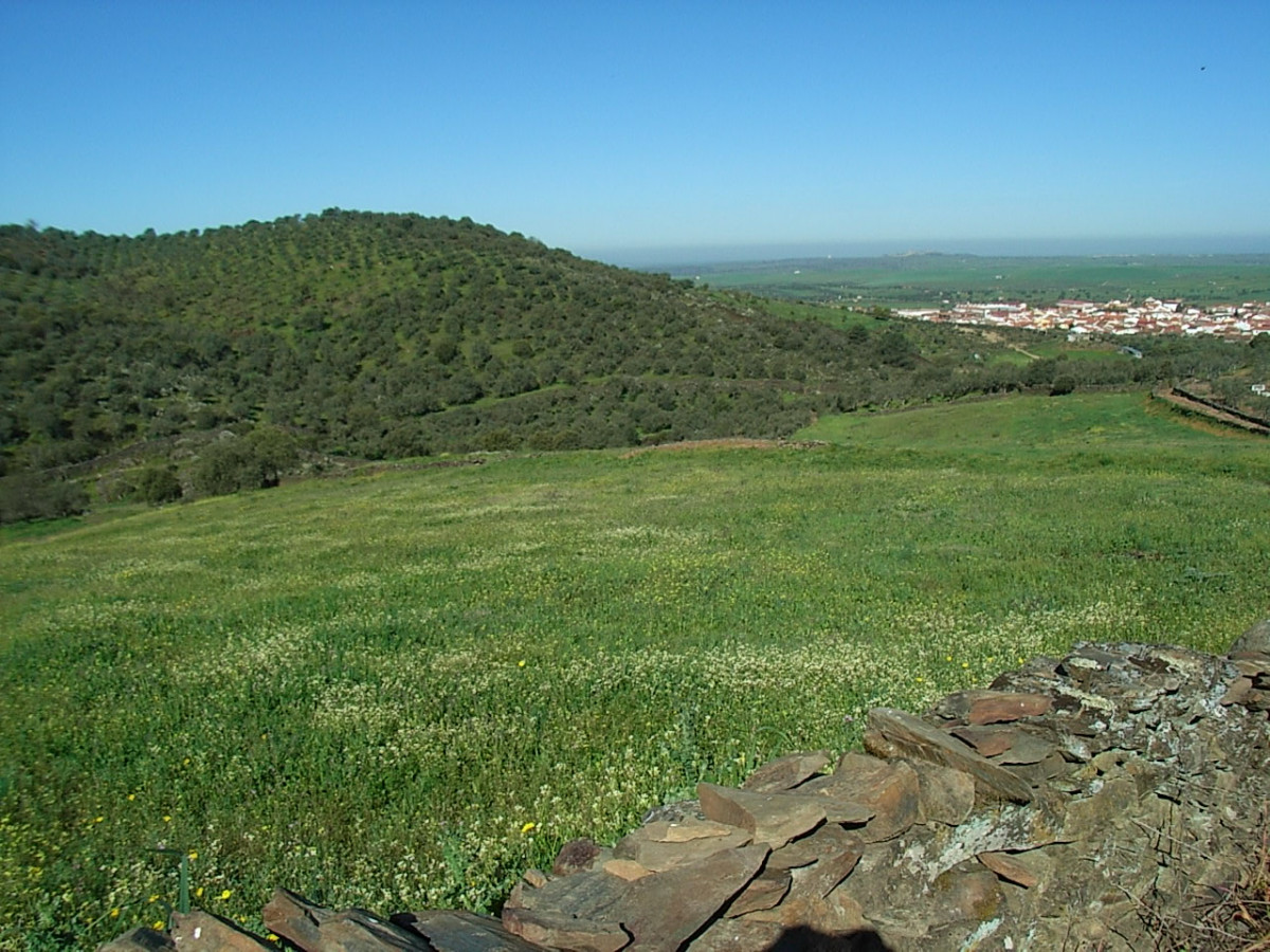 Madroñera | ExtremaCasa