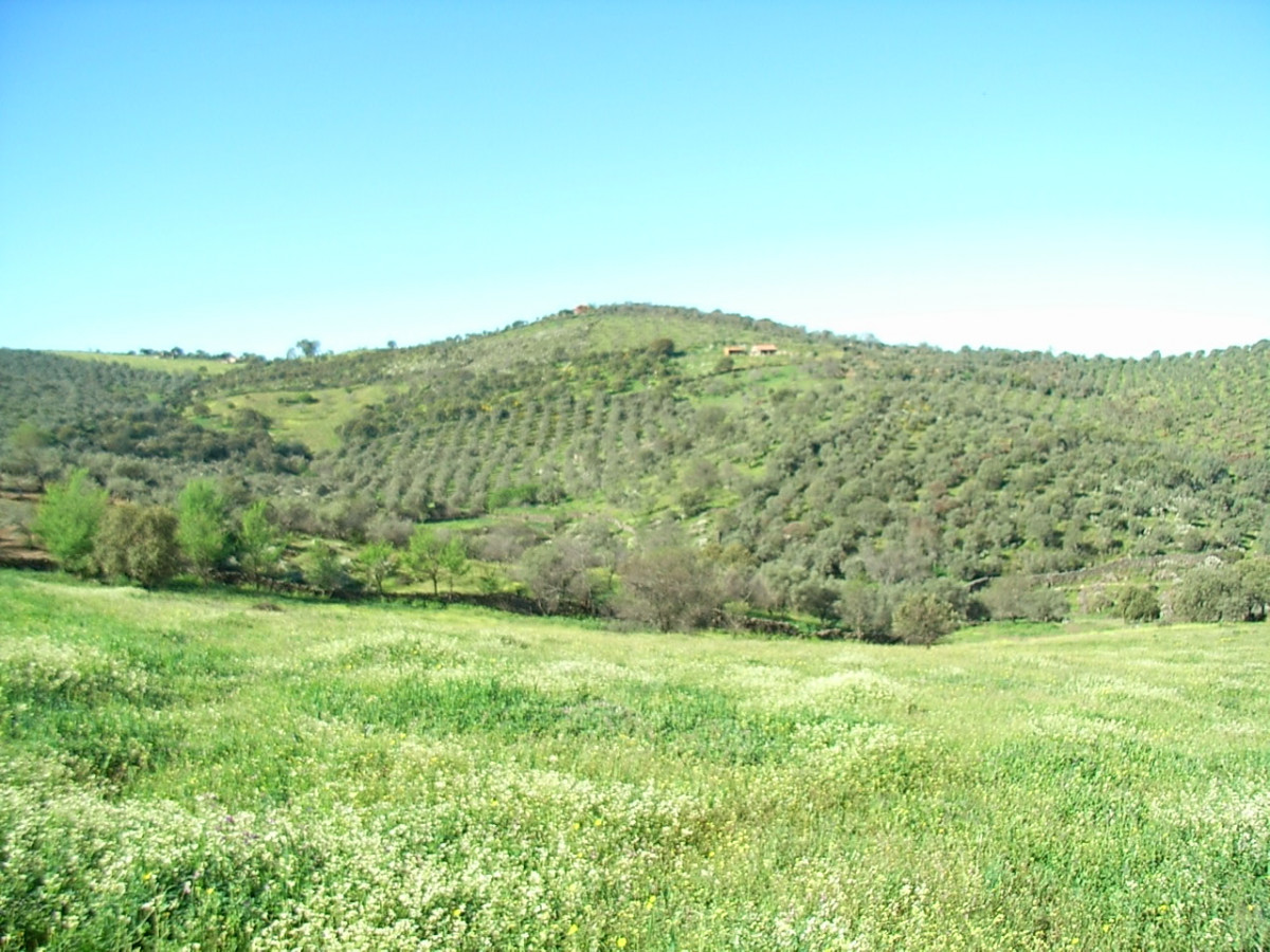 Madroñera | ExtremaCasa