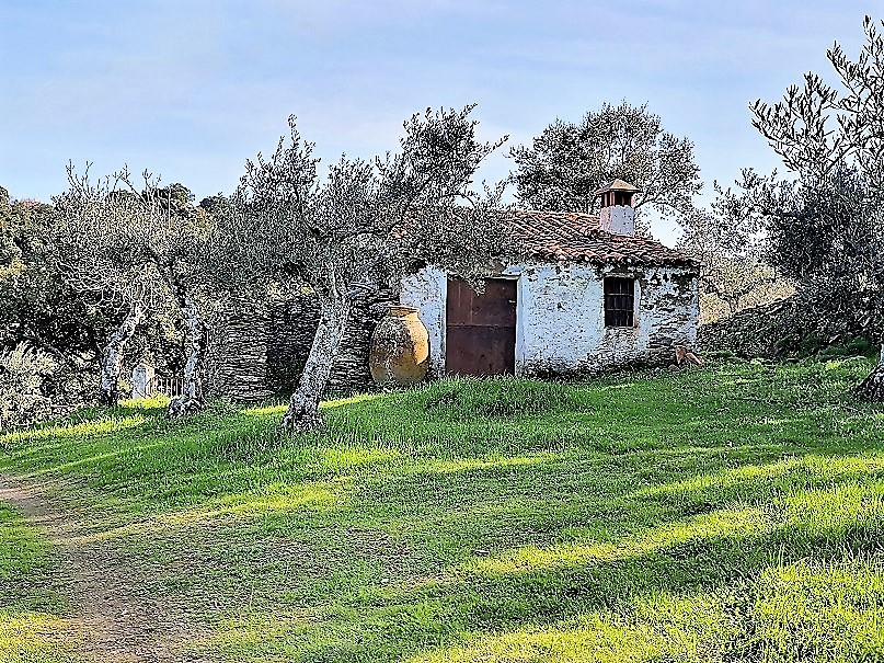 Madroñera | ExtremaCasa